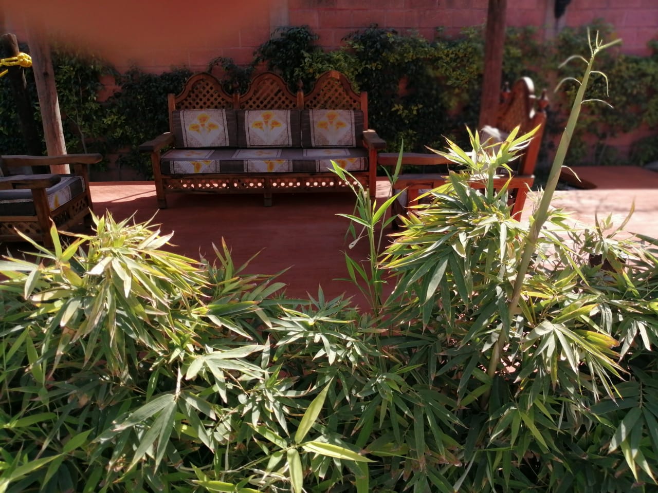 Casa color Paraíso | Casas de Colores